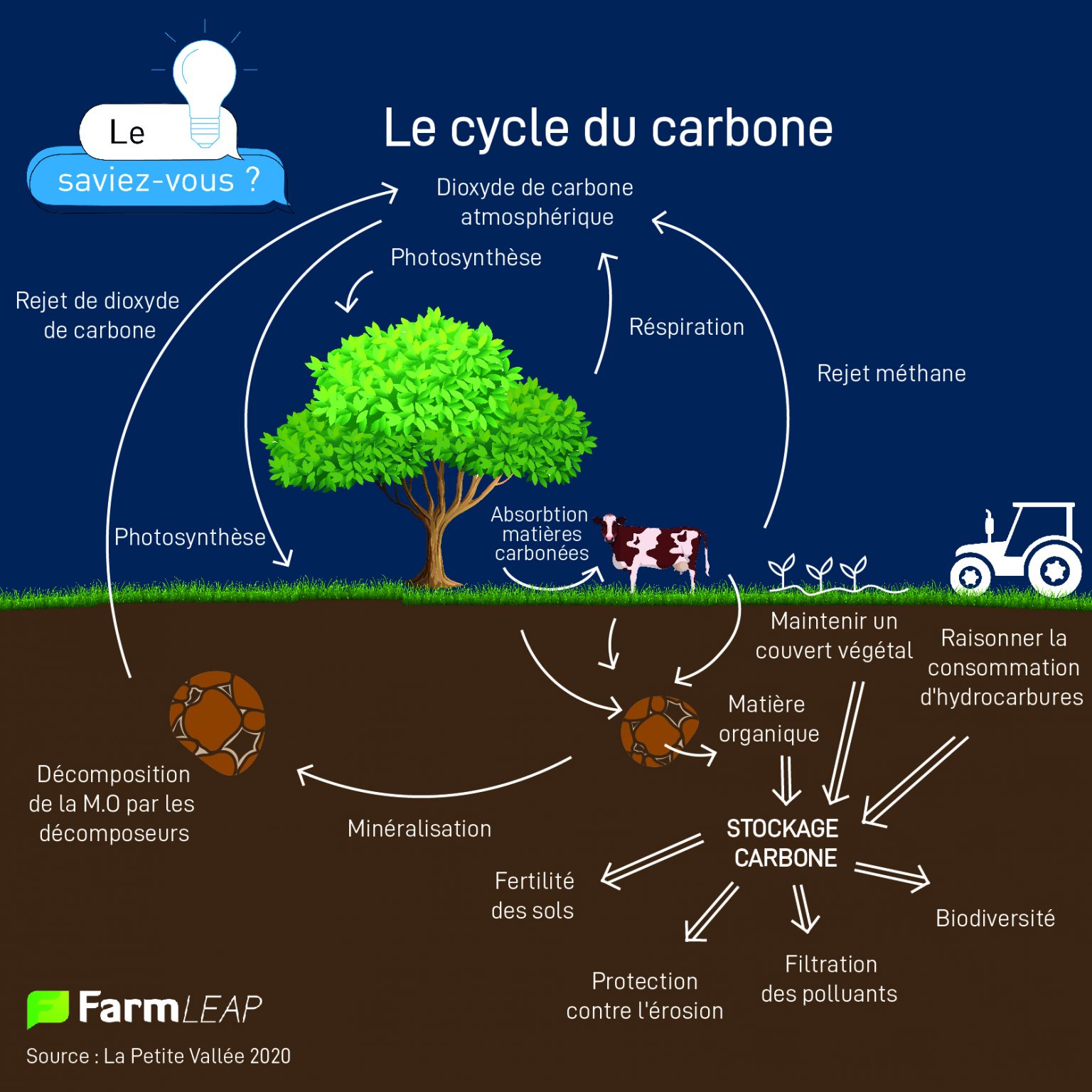 Le Cycle du Carbone en Agriculture : tout comprendre – farmleap