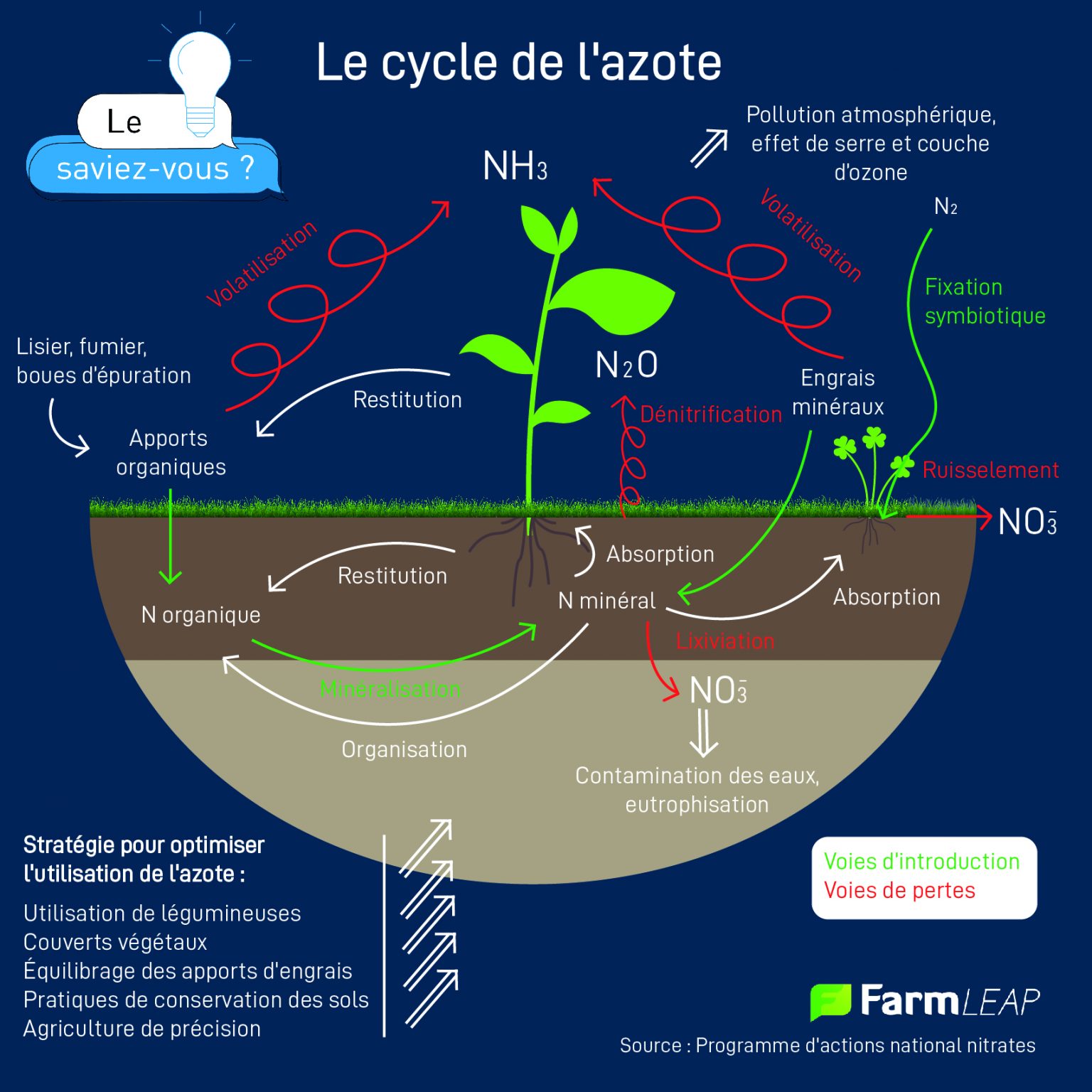 Le Cycle de l’Azote en Agriculture : tout comprendre – farmleap