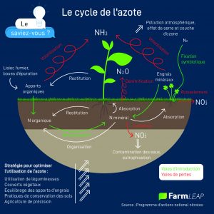 Le Cycle de l’Azote en Agriculture : tout comprendre – farmleap