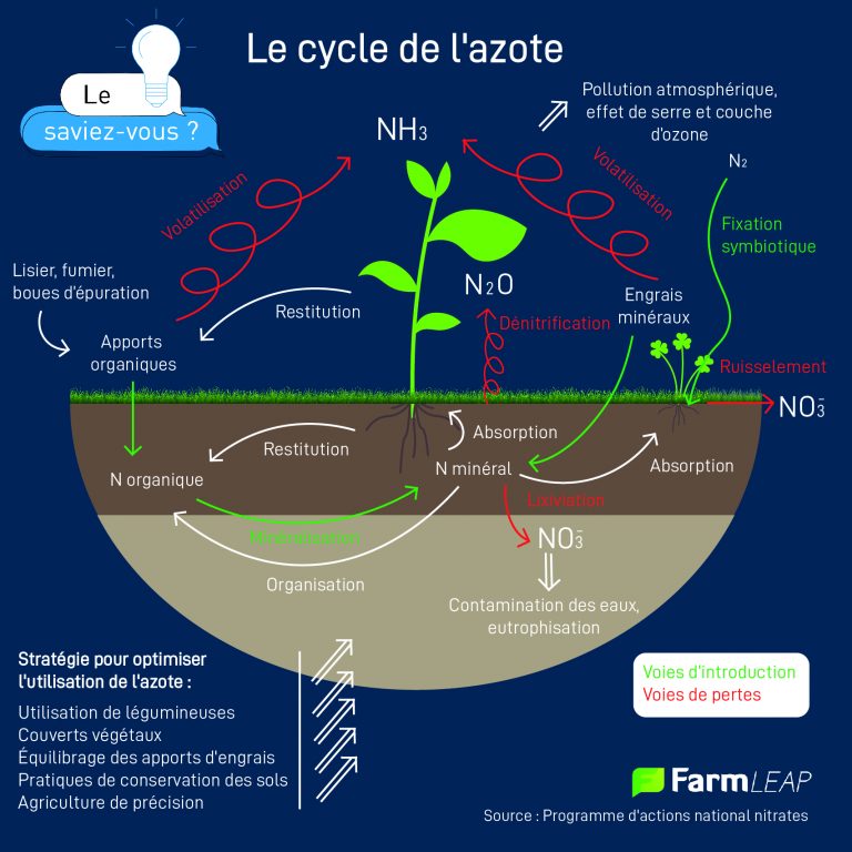 Le Cycle de l’Azote en Agriculture : tout comprendre – farmleap